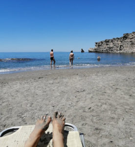 Yoga Rocks 2024 full teacher roundup - Yoga Retreats at their best.